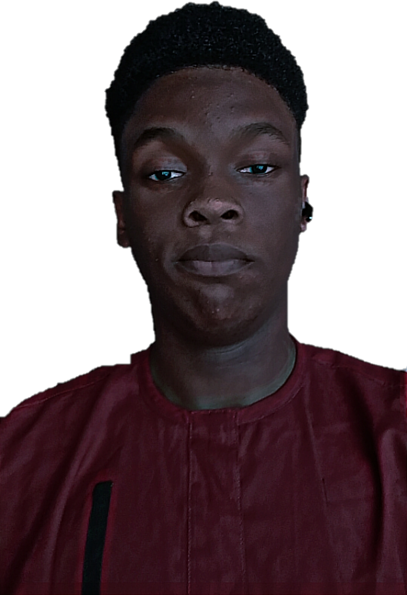 Oluwanifemi Oladimeji - Portfolio